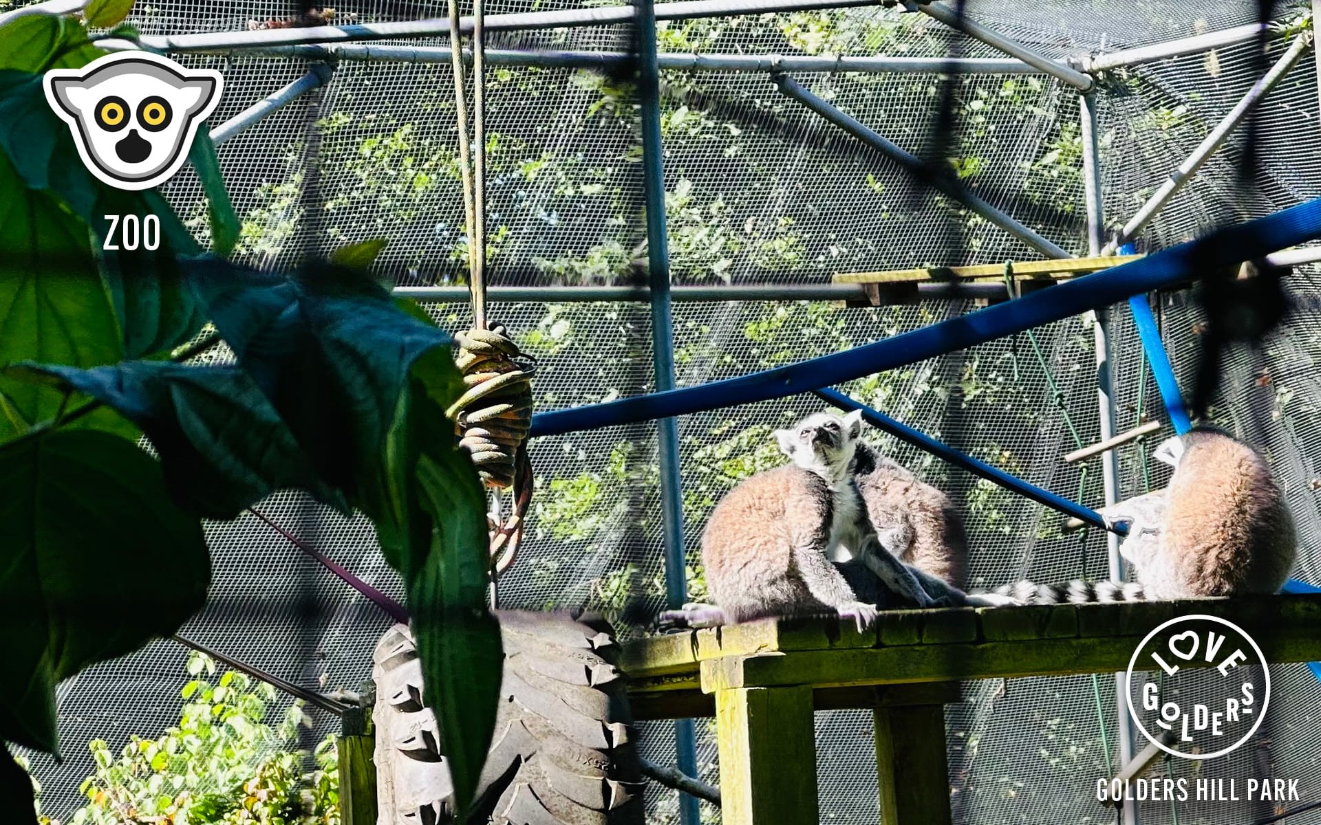 Love Golders | Golders Hill Park Map & Visitor Guide